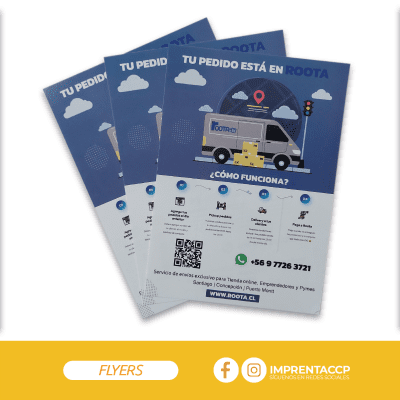 Flyers 1000 unidades - Imprenta Concepción